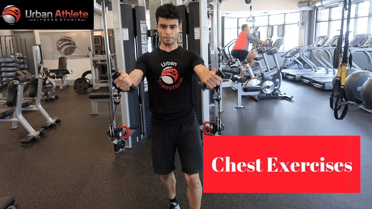 Chest Exercises - Urban Athlete Fitness Studio - Best Calgary Gym ...