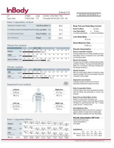 Body Scan - Urban Athlete Fitness Studio - Best Calgary Gym & Fitness ...